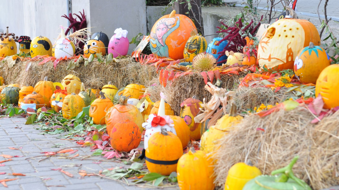 Pumpkin Festival